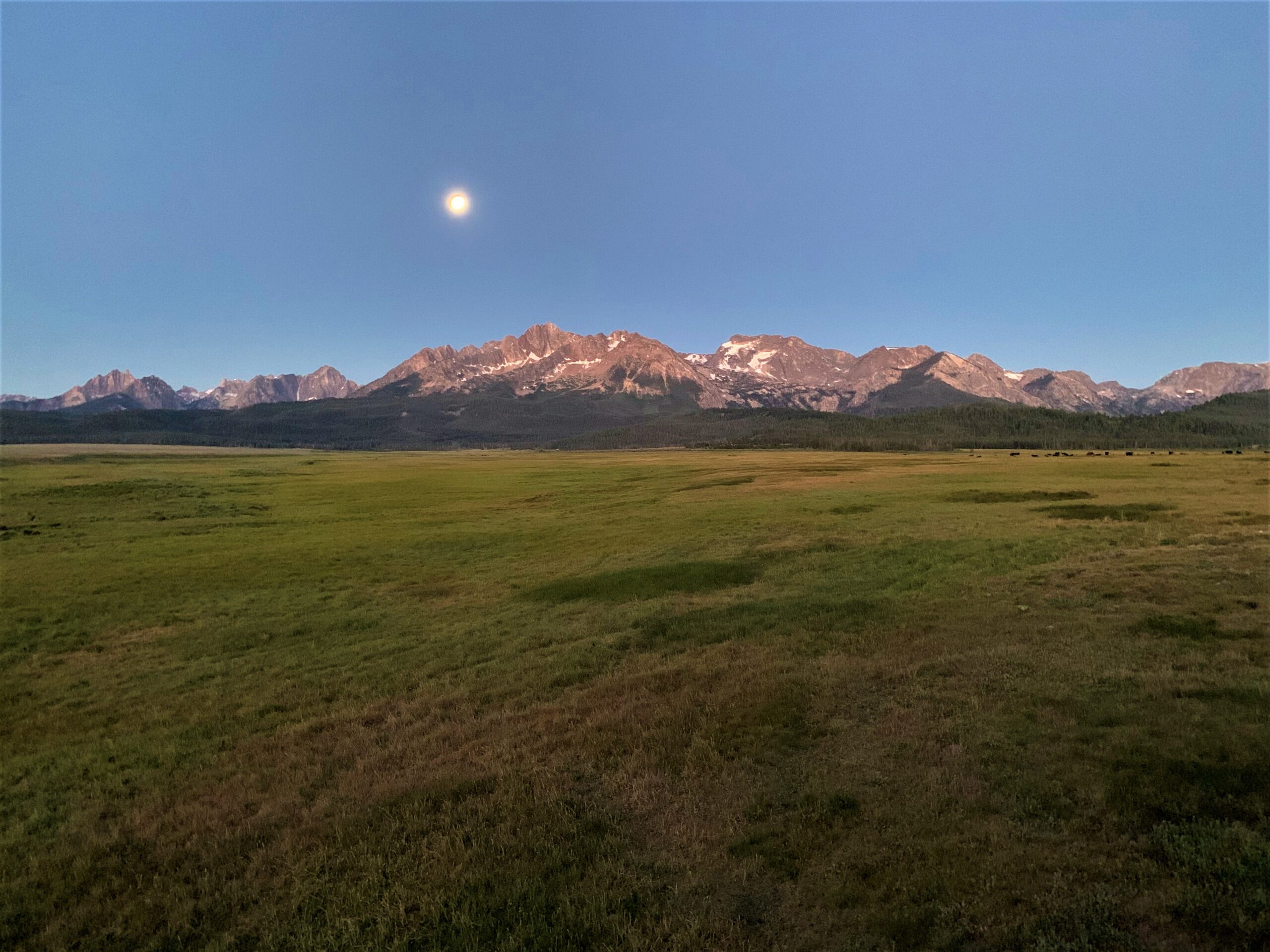 SawtoothLife | Exploring the Sawtooth Valley | Sawtooth Webcam